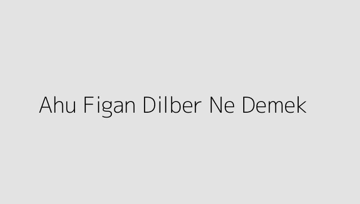 Ahu Figan Dilber Ne Demek - Teknoloji Doktoru