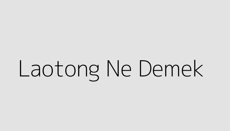Laotong Ne Demek? - Teknoloji Doktoru