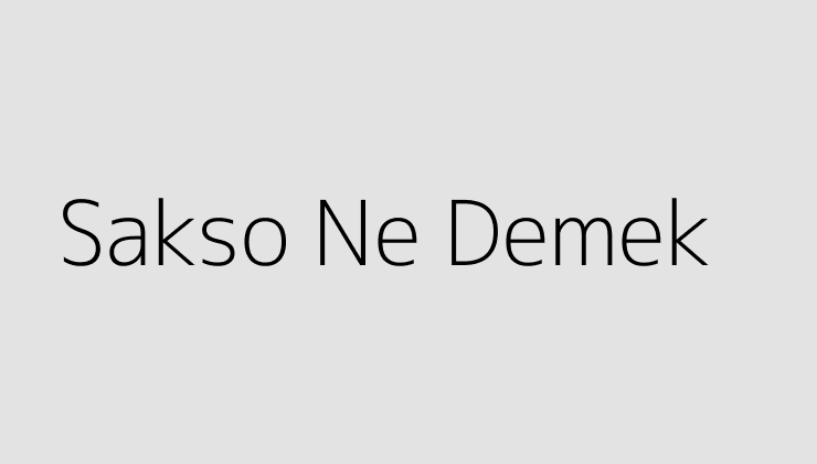 Sakso Ne Demek? - Teknoloji Doktoru